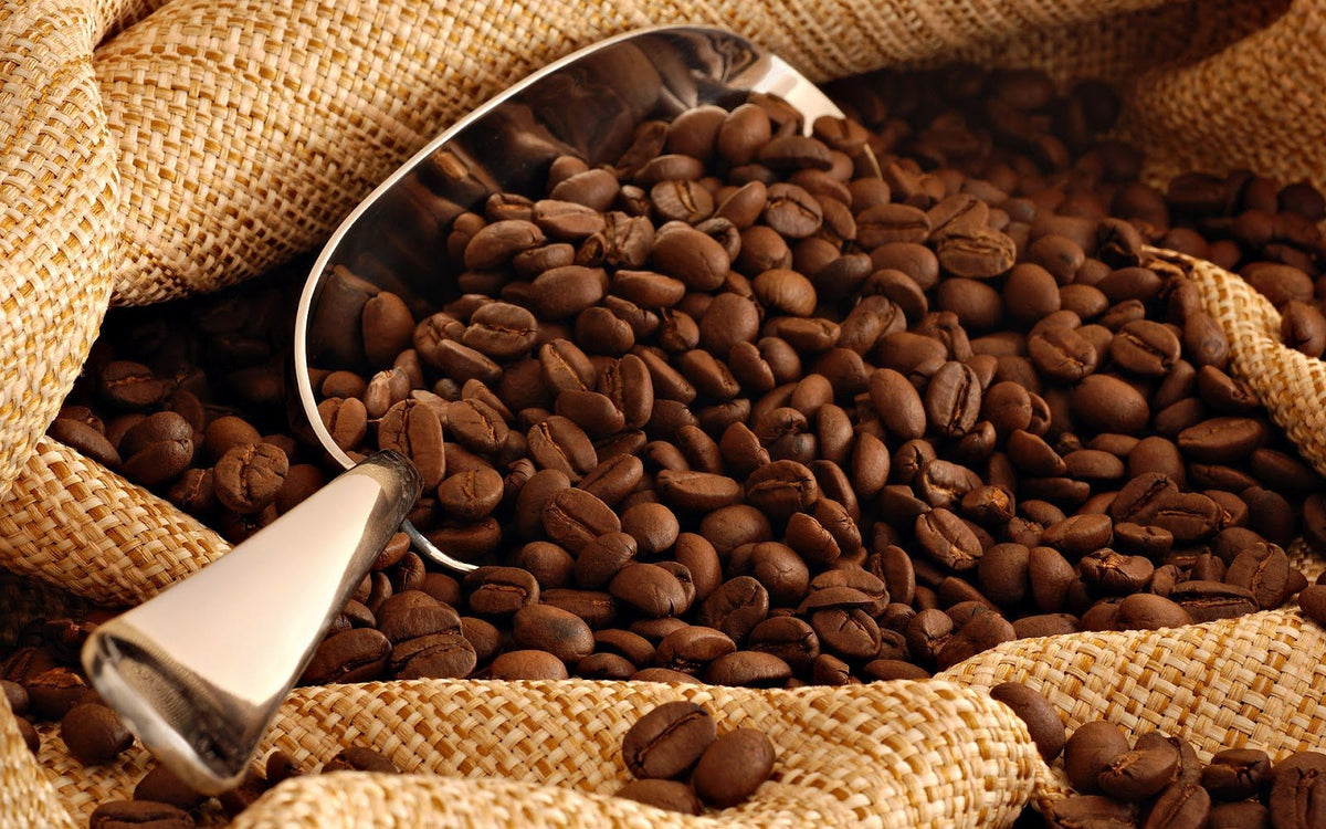 Guide to Finding High-Quality Coffee Beans in Canada — Anthony's Espresso